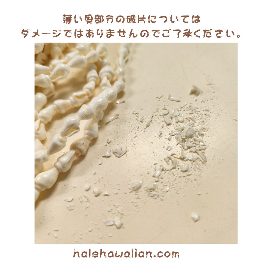 Hawaiian Tahitian Shell Lei [Nasa Shell 12-strand Necklace] White ...