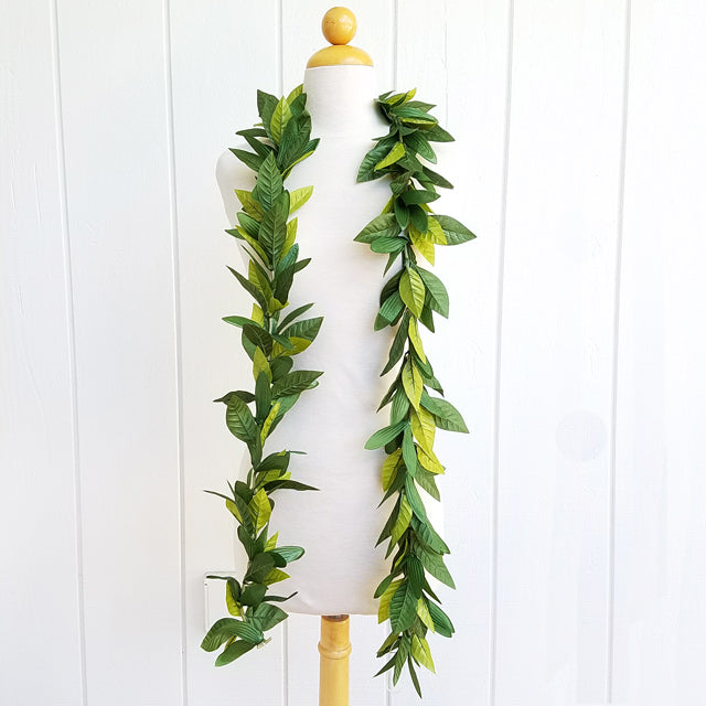 Hawaiian Hula Equipment Open Maile Lei (Long) [Hawaii Maile Single ...