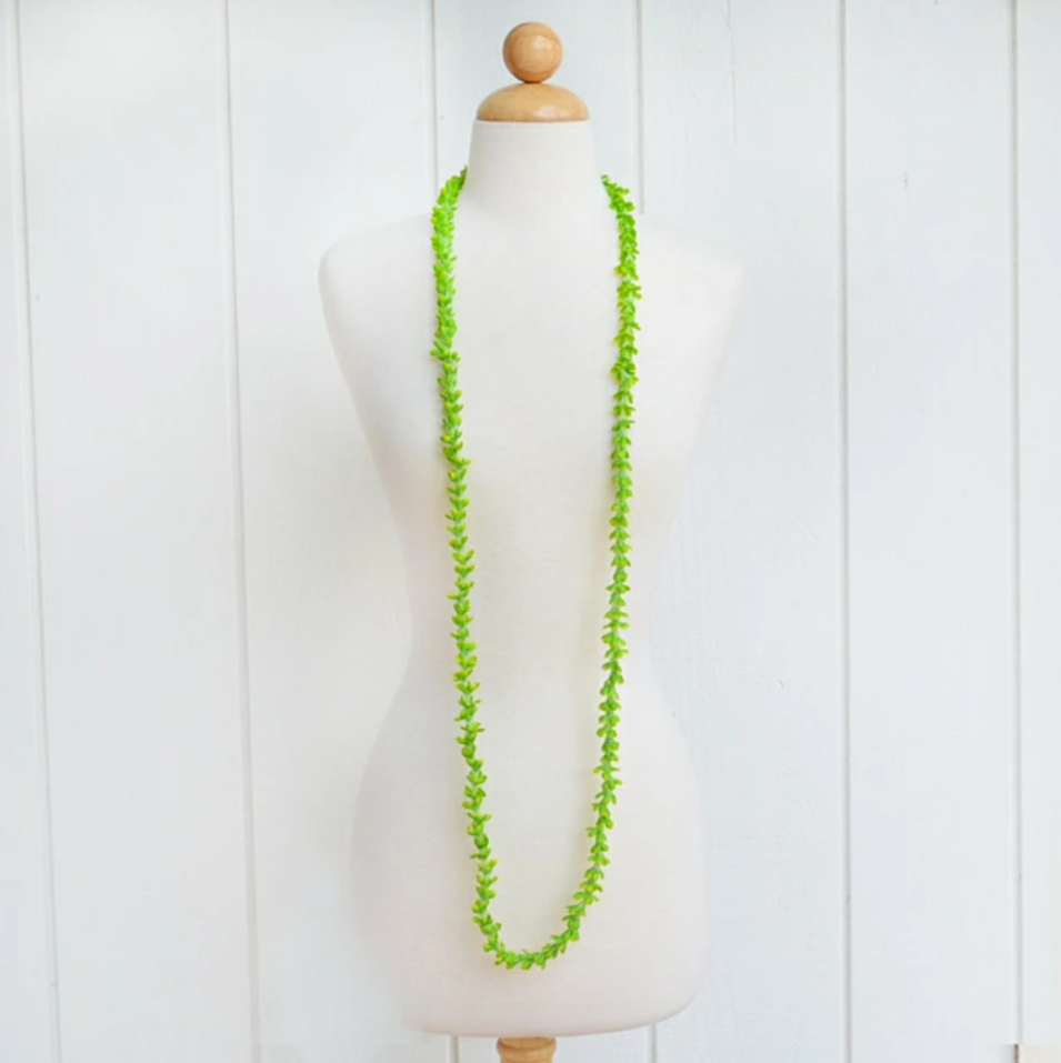 Hawaiian Hula Supplies Flower Lei (Long) [Pakarana/Long] – Halehawaiian